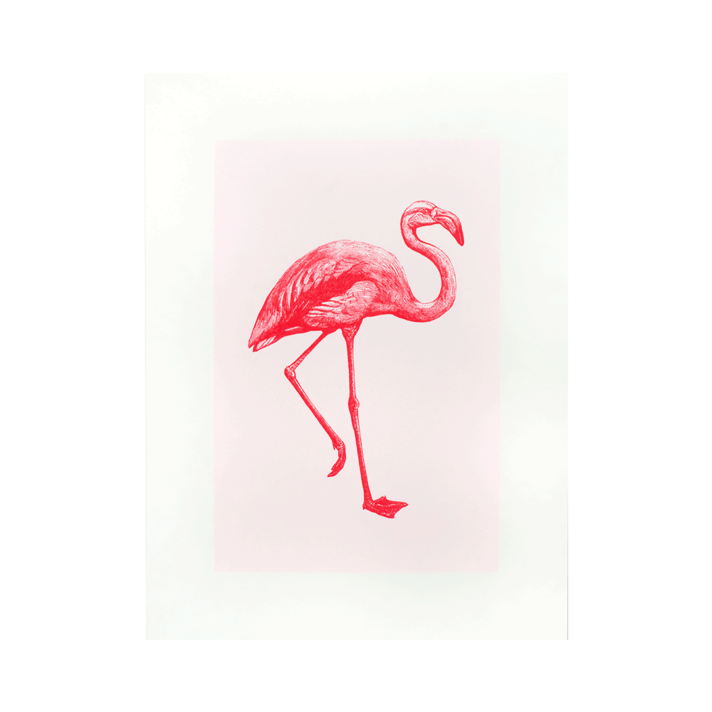 Risography Artprint Flamingo – Donkey Products