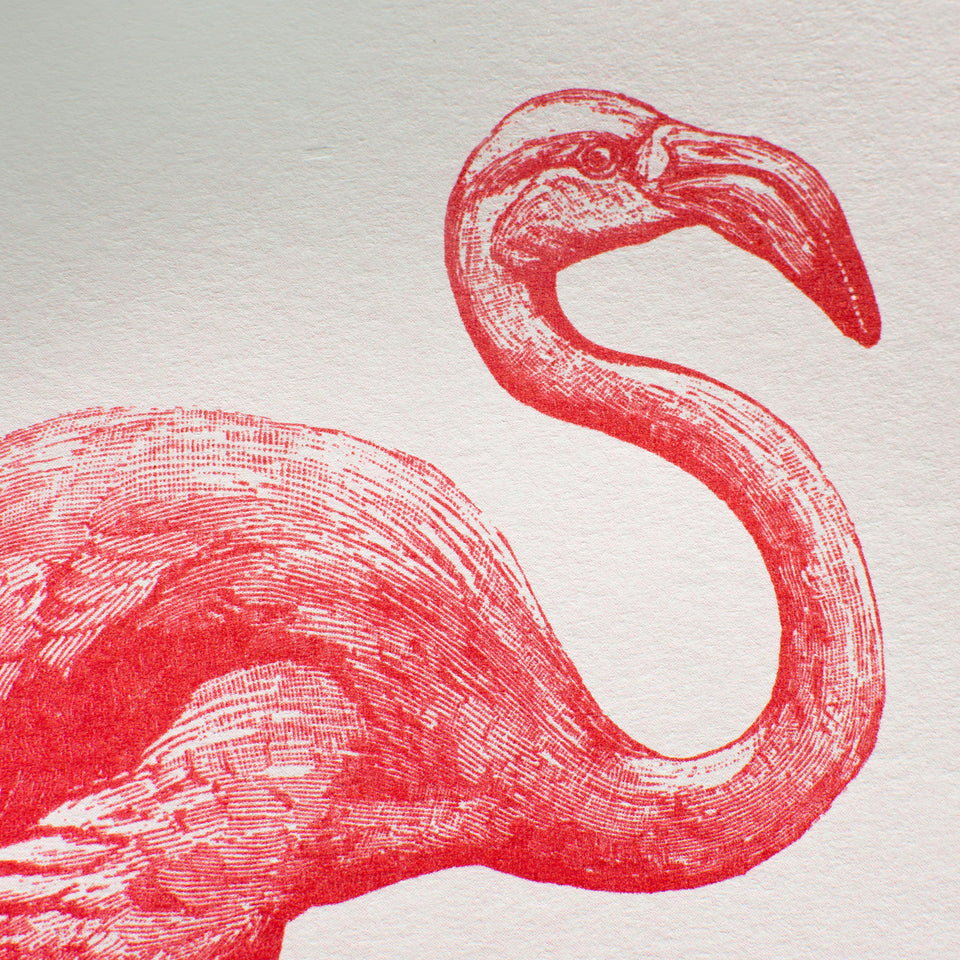 Risography Artprint Flamingo – Donkey Products