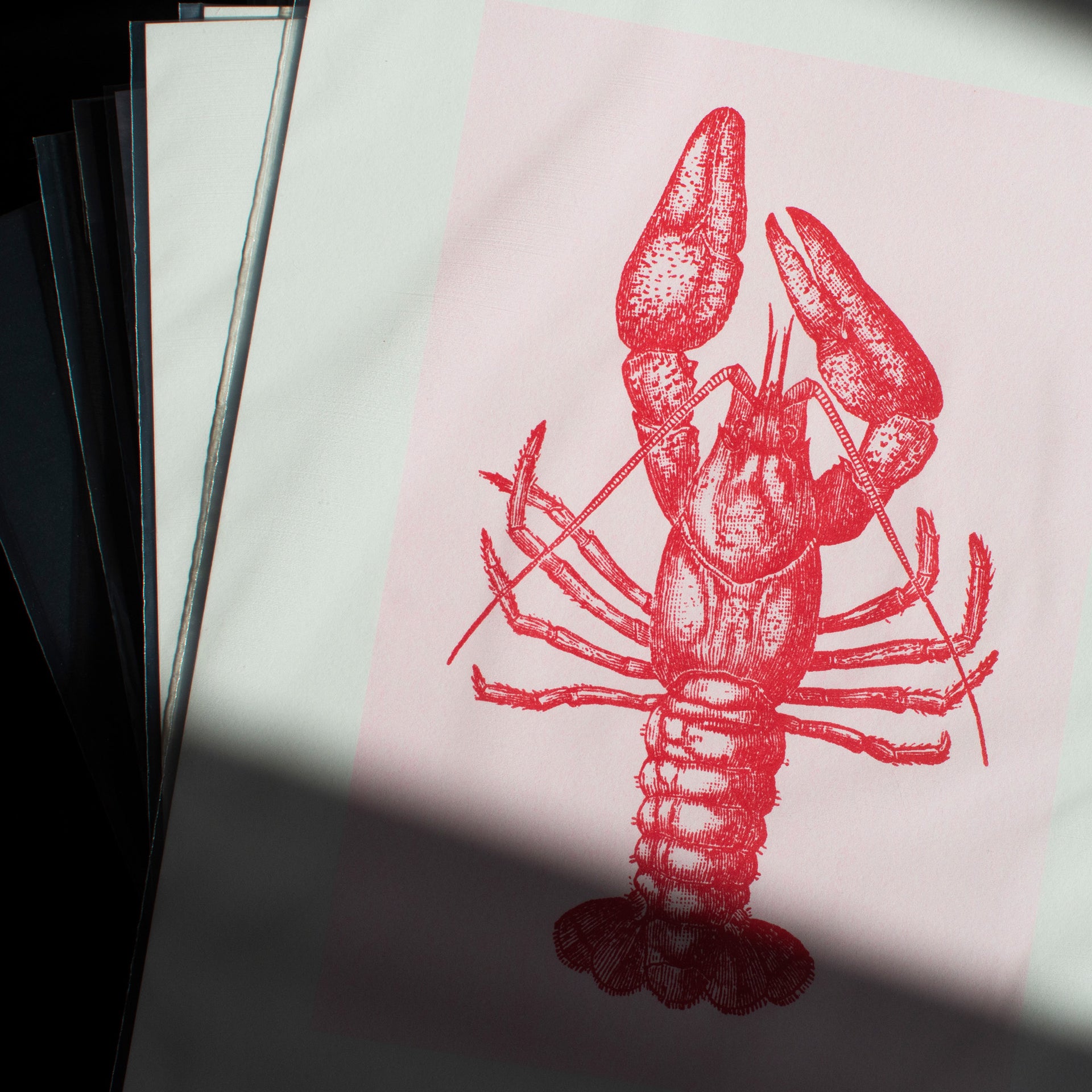 Risography Artprint Lobster – Donkey Products