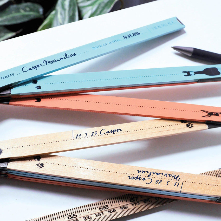 Kids Life Meter – Donkey Products